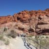 Calico Basin Red Springs at Red Rock Canyon | Vegas4Locals.com