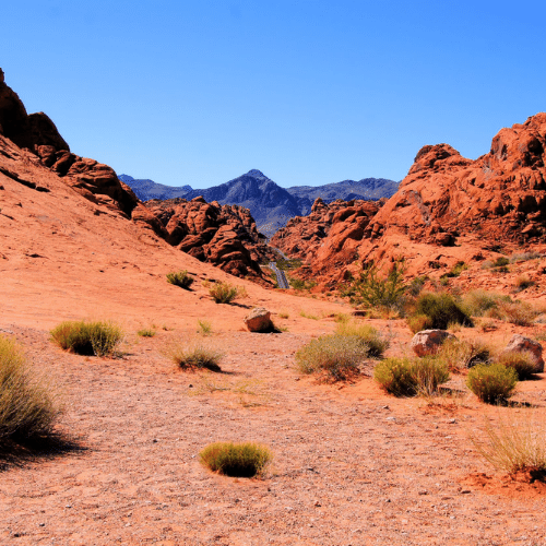 Love Hikes Valley of Fire Hiking Tour Discount Tickets | Vegas4Locals.com