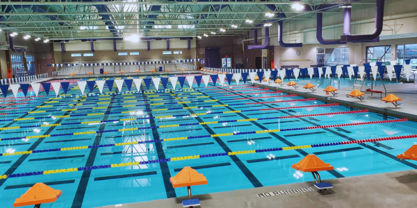 Public Las Vegas Swimming Pools | Vegas4Locals.com