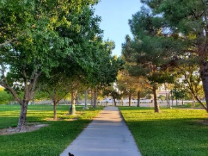 The Best Public Parks in Las Vegas | Vegas4Locals.com