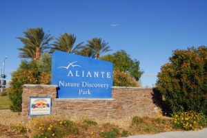 The Best Public Parks in Las Vegas | Vegas4Locals.com