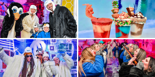 Minus5 Ice Experience Las Vegas Discount Tickets | Vegas4Locals.com