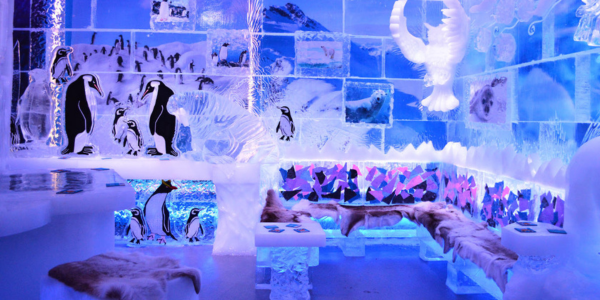 Minus5 Ice Experience Las Vegas Discount Tickets | Vegas4Locals.com