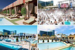 Palm Tree Beach Club @MGM Grand Las Vegas | Vegas4Locals.com