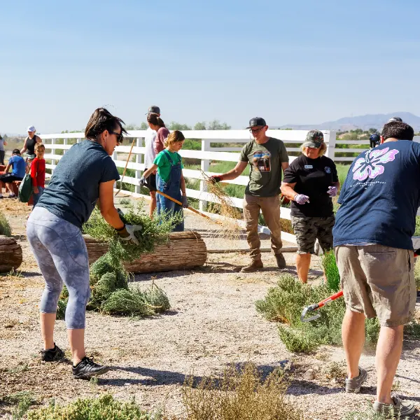 Free Events Events in Las Vegas - Vegas4Locals.com